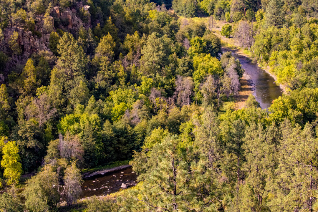 Administration Office | SAN CARLOS APACHE TRIBE - OFFICIAL WEBSITE