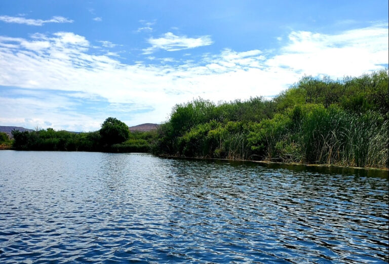 Human Resources | SAN CARLOS APACHE TRIBE - OFFICIAL WEBSITE