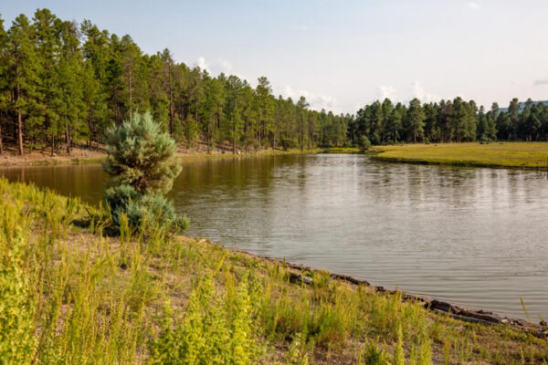 Apache Gold Casino & Resort | SAN CARLOS APACHE TRIBE - OFFICIAL WEBSITE